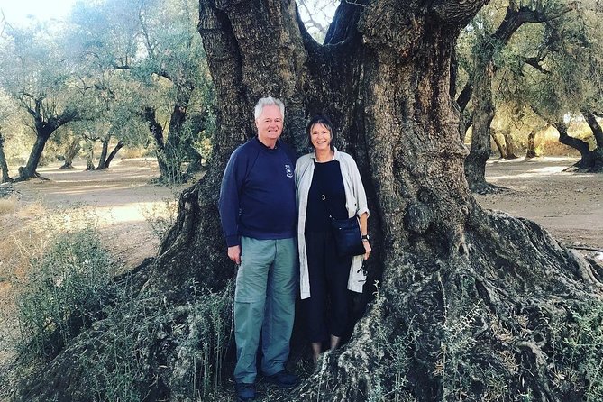Olive Oil Tour and Visit to Belchite Old Town - Practical Details and What to Expect