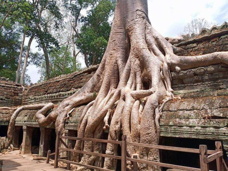 One Day Exploration to Angkor Wat, Angkor Thom & Ta Prohm - Analyzing the Value