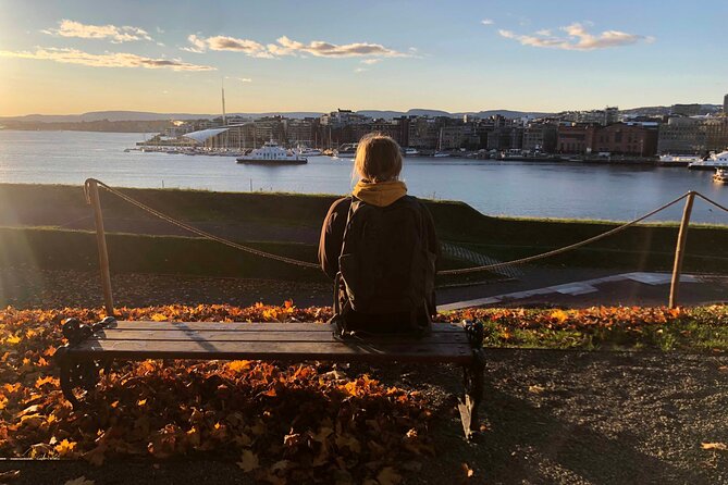 Oslo Unveiled: Private Walking Tour - Detailed Breakdown of the Itinerary