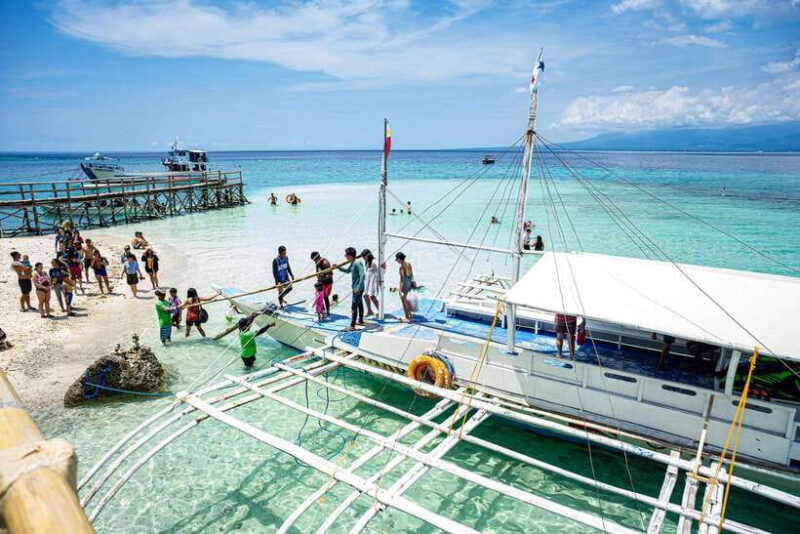 Oslob Whale Shark & Tumalog Waterfalls & Sumilon Sandbar - Practical Details and Value