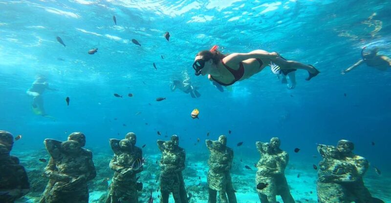 Ozzy Snorkeling 3 Islands Visit Baby Turtles - What the Tour Includes and What It Doesn’t