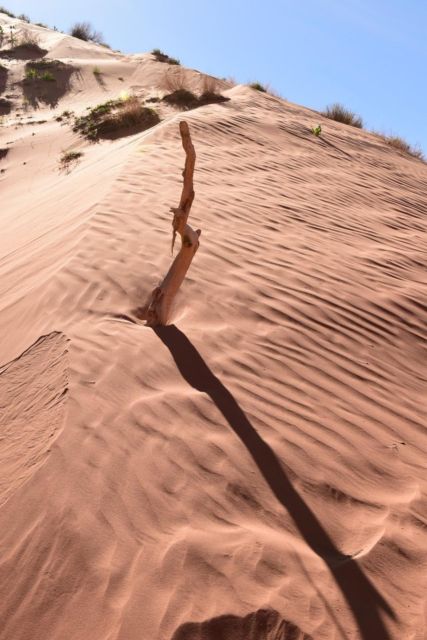 Page: Traditional Navajo Hogan Stay & Antelope Canyon Tour - Who Is This Tour Best For?
