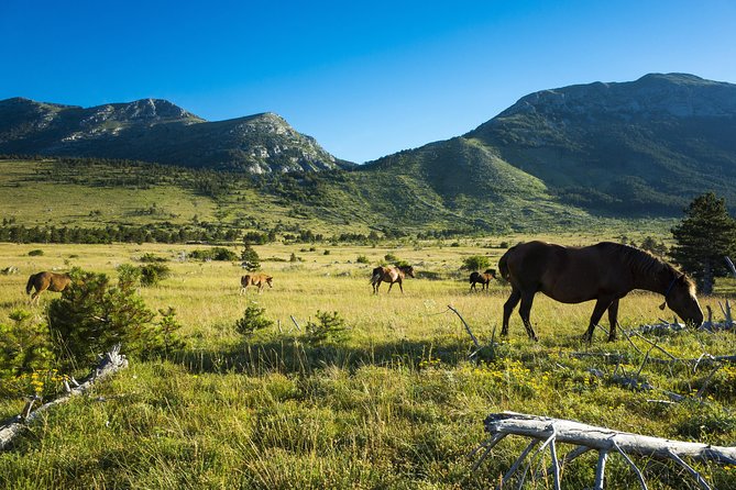 Paklenica National Park Admission Ticket - Final Thoughts