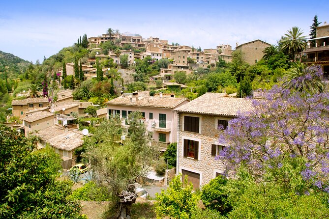 Palma de Mallorca Shore Excursion: Palma, Deia and Sa Foradada - Who Would Love This Tour?