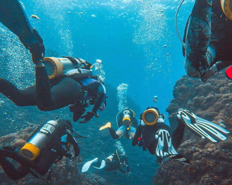 Panglao Bohol: Try Scuba Diving at Napaling and Sardines - Who Will Love This?