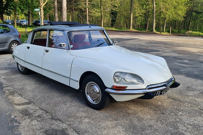 Paris City Tour 3h00 Citroën DS Vintage with Open Roof - Authentic Parisian Views and Experiences