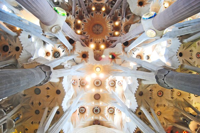 Park Güell and Sagrada Familia Private Tour - The Sum Up