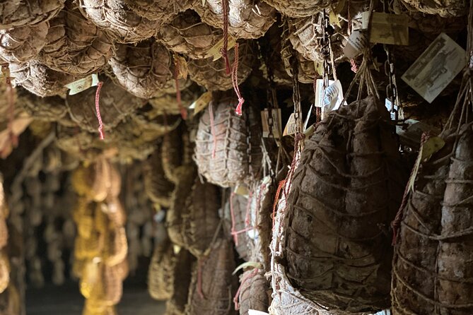 Parmigiano and Culatello Private Tour with Lunch and Farm Visit - A Deep Dive Into the Tour Experience