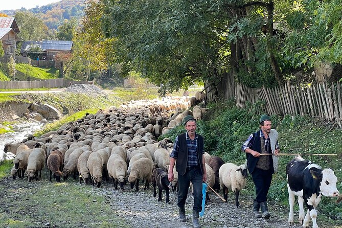 Peles castle and authentic Romanian village experience - day trip - Why This Tour Offers Great Value
