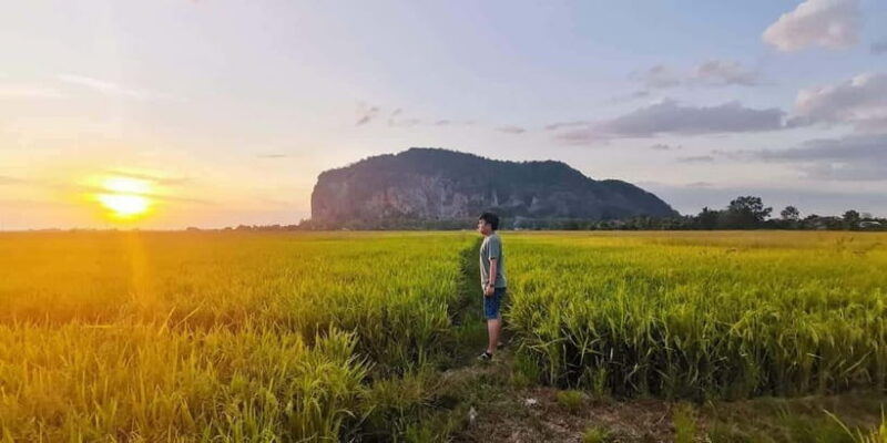 Penang:Full-Day Tour to Kedah with Local Guide and Driver - Breaking Down the Itinerary