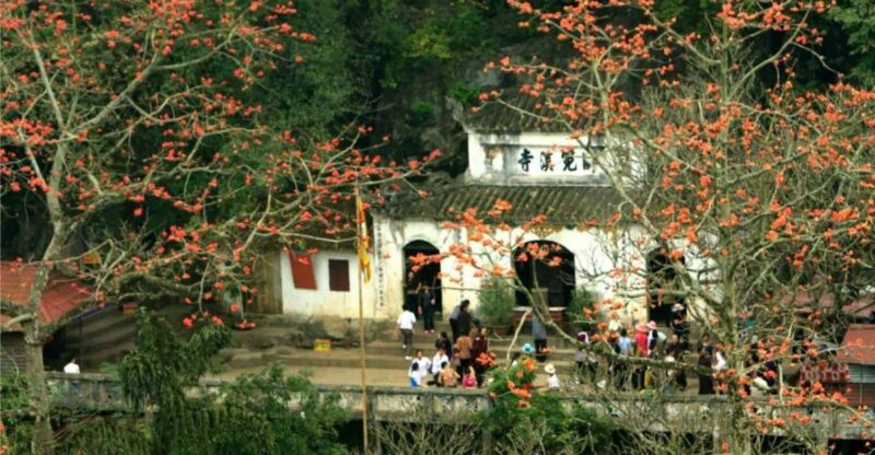 Perfume Pagoda Full-day trip From Hanoi - What Does the Tour Get Right?