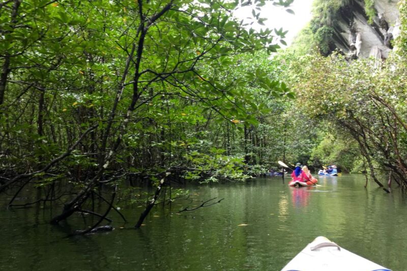 Phang Nga Bay: Early Bird James Bond & Beyond Tour - Transport, Timing, and Value