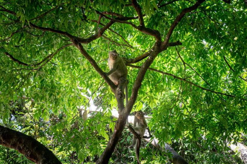 Phnom Penh: Phnom Oudong & Koh Chen Village - Lunch include - Koh Chen Village: Craftsmanship and Local Life