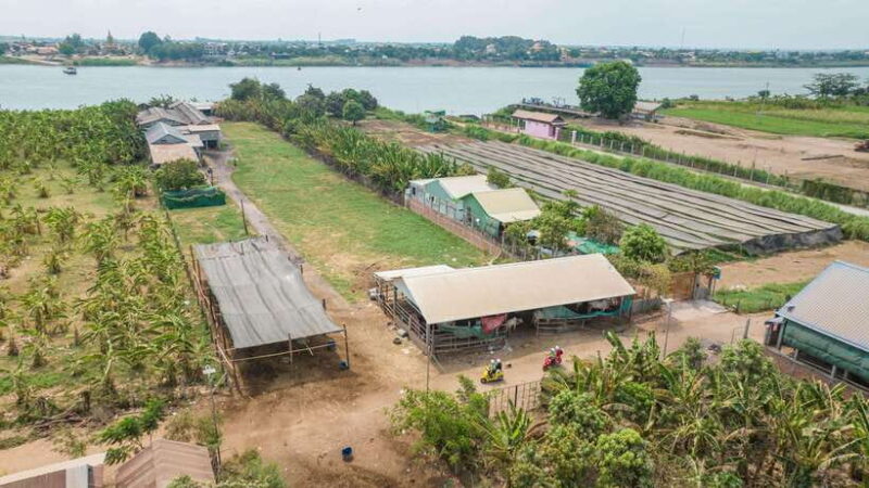 Phnom Penh: Silk Island Tour by Vespa - What Makes This Tour Stand Out