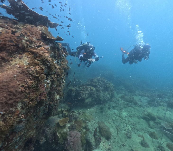 Phu Quoc: Scuba Diving Tour, one day in ocean Phu Quoc - A Day on the Water: What to Expect