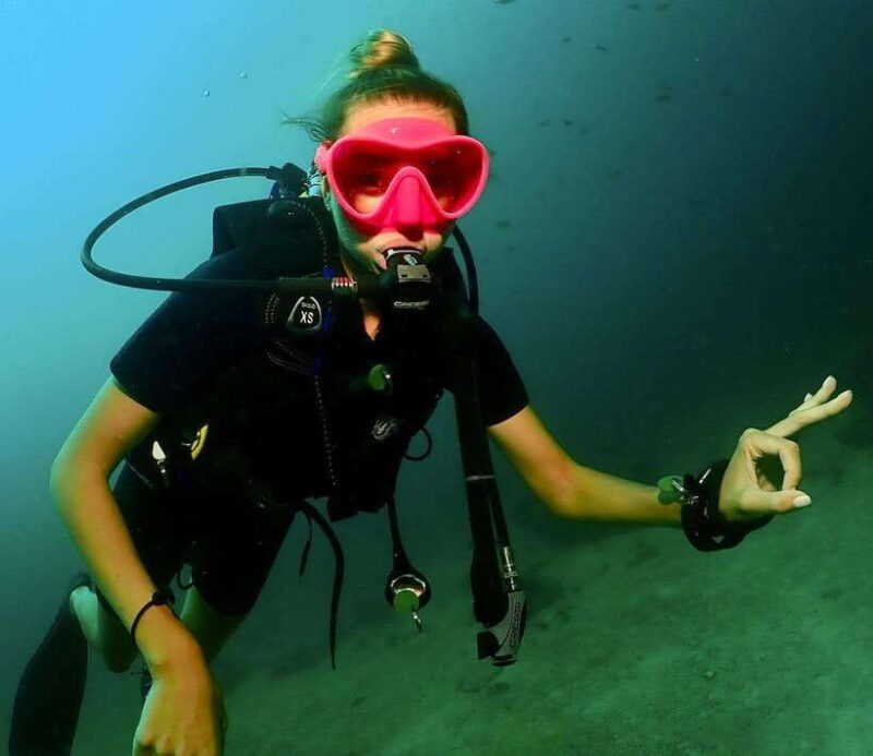 Phuket: 3 Dive Koh Phi Phi/Shark Point Scuba Diving Day Trip - An In-Depth Look at the Tour Experience