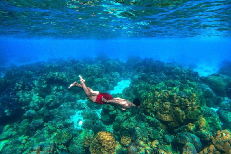 Phuket: Surin Islands Full Day Snorkeling Tour by Speedboat - Overview of the Tour Experience