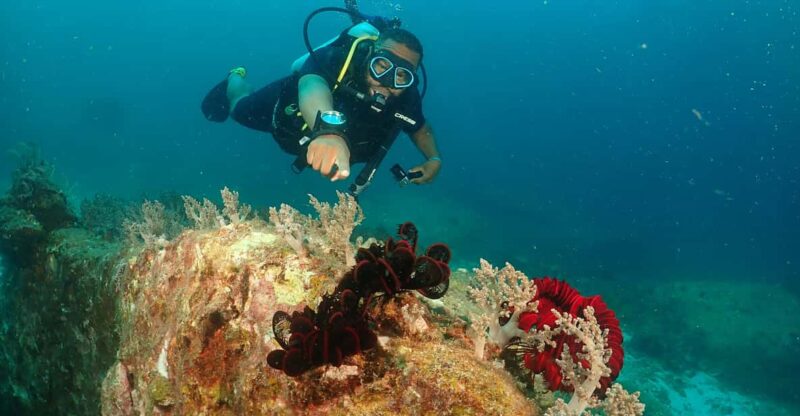 Phuket: Try SCUBA DIVING Full Day Experience 3 Dives - What to Expect on the Day