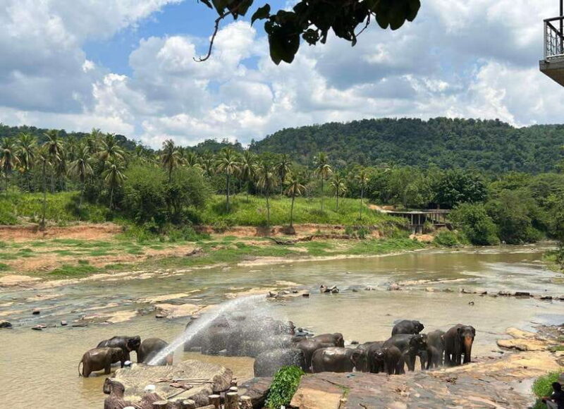 Pinnawala Day Tour from Kandy (Private tour ) - Cultural and Artisan Highlights in Kandy