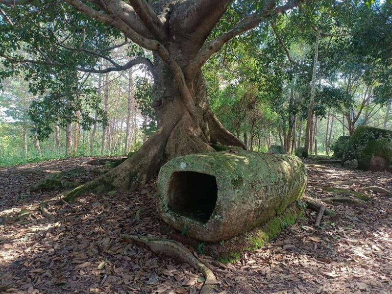 Plain of jars private tour - What to Expect and Practical Tips