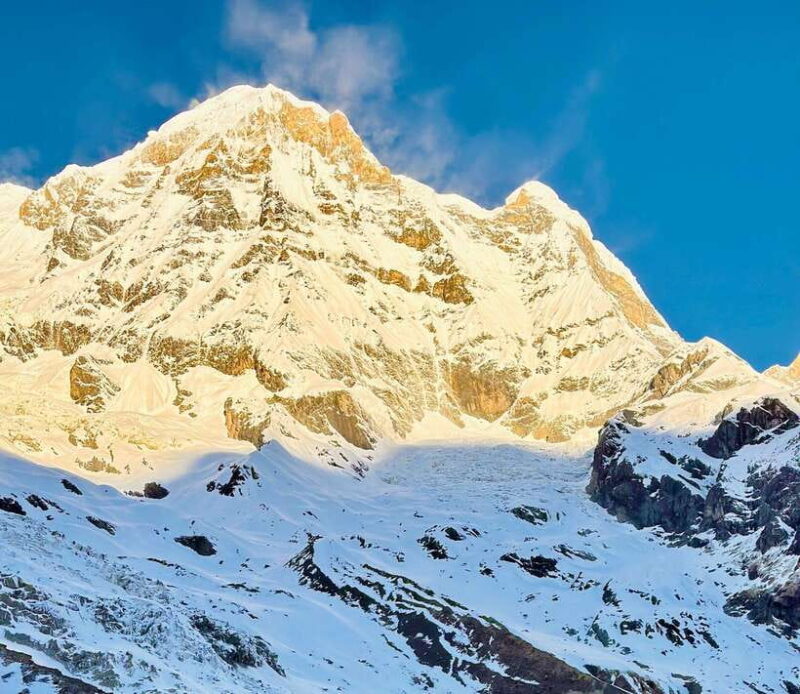 Pokhara: Annapurna Base Camp Trek & Wildlife Safari Tour - From Mountains to Jungle: Chitwan National Park