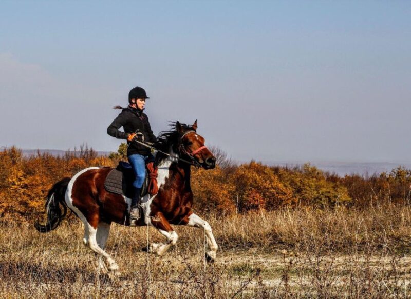 Pokhara: Horseback Adventure - Final Thoughts: Is It Worth It?