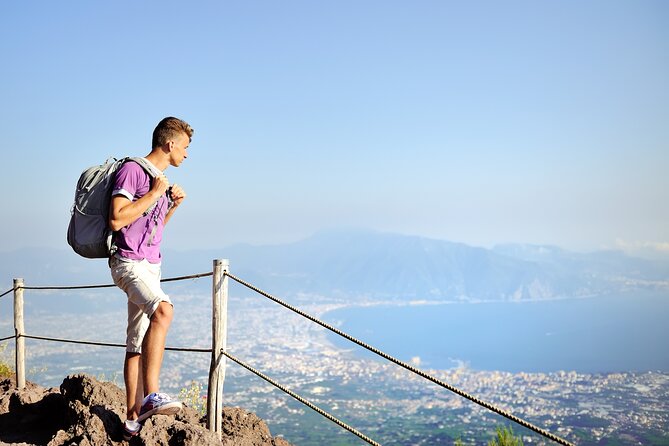 Pompeii and Mount Vesuvius Day Trip from Rome with Pizza Lunch - Analyzing the Value: Is It Worth It?
