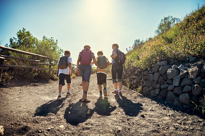 Pompeii and Vesuvius Wine Tasting Private Tour - Why This Tour Works for Travelers