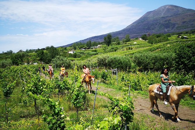 Pompeii Guided Tour & Horse Riding on Vesuvius with Lunch - The Journey to Mount Vesuvius and Trecase