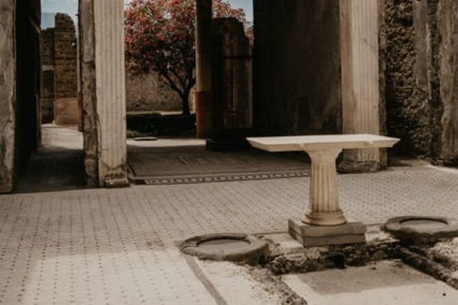 Pompeii Guided Tour with Train Included from Rome - What’s Included and What’s Not