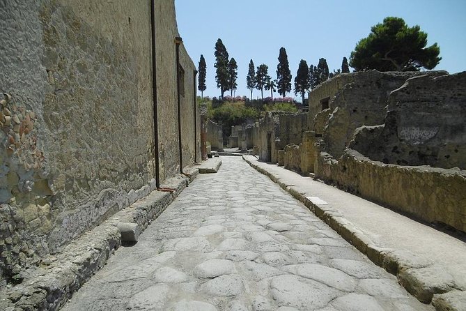 Pompeii, Herculaneum and Sorrento Private Day Tour from Rome - Authentic Experiences and Practicalities