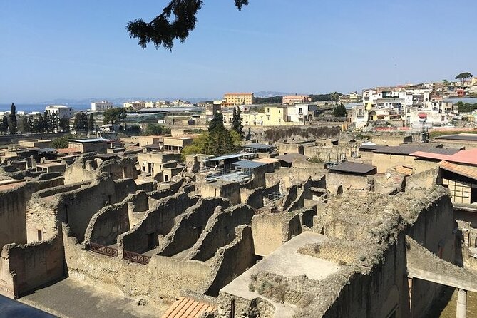 Pompeii, Herculaneum & Wine Tour, with Licensed Guide included - Practical Details & Tips