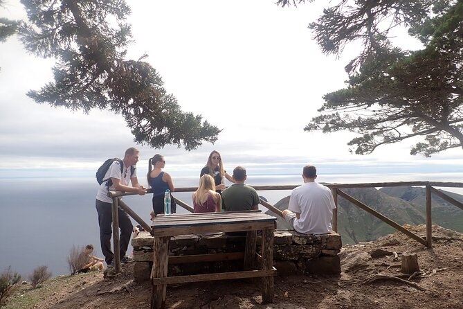 Porto Santo - Terra Chã Hiking Tour - Who Should Consider This Tour?