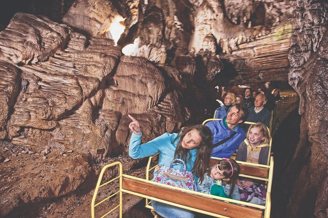 Postojna cave & castle | Private off cruise excursion from Koper - Why Choose This Tour?