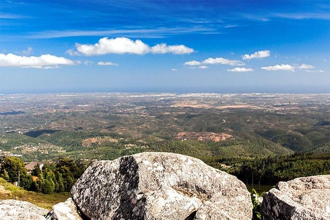 Premium gastronomic mountain tour: Wine, olive oil, spirits, food - How the Experience Adds Up for Travelers