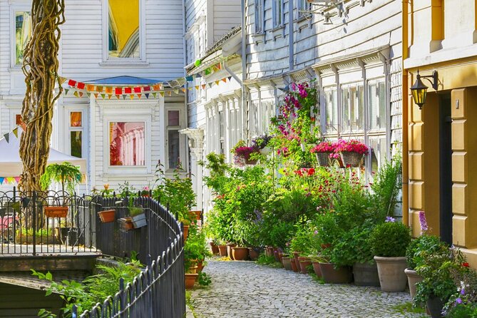 Private 2 Hour Walking Tour of Bergen with a Certified Guide! - How the Experience Feels: Practical Aspects