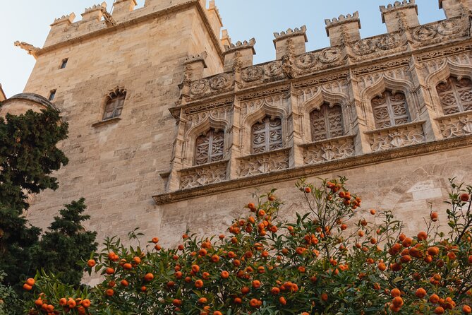 Private 3 hours Walking Tour in Valencia City - FAQ