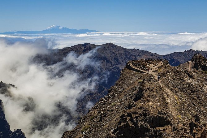 Private 8 hours Tour to El Teide from Tenerife Hotel with driver/guide - Itinerary Breakdown: What to Expect