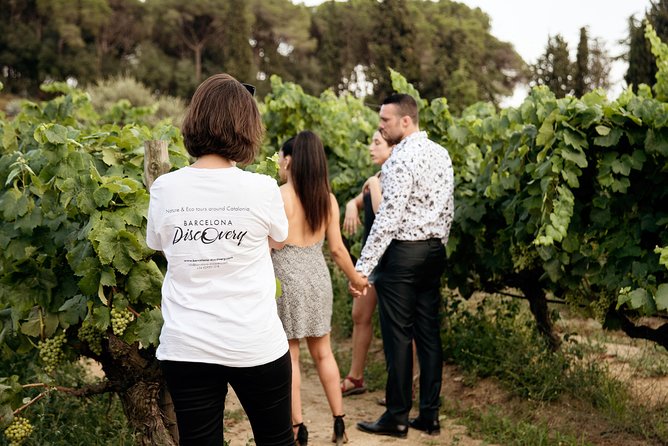 Private Breakfast Winery Experience - Private Wine Tasting Tour - Why This Tour Offers Great Value