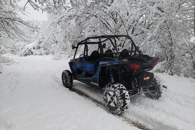 Private Buggy Experience All Seasons in Pamporovo - The Authentic Experience