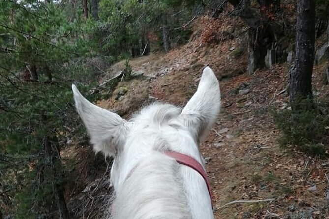Private Cascades Waterfall Horseback Riding Tour from Smolyan - Diving into the Itinerary