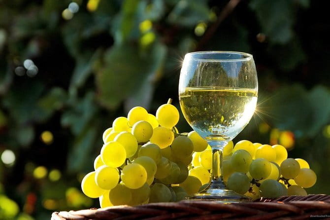 Private Classic Wine Tour in Chianti from Florence - The Value of a Private, Curated Experience