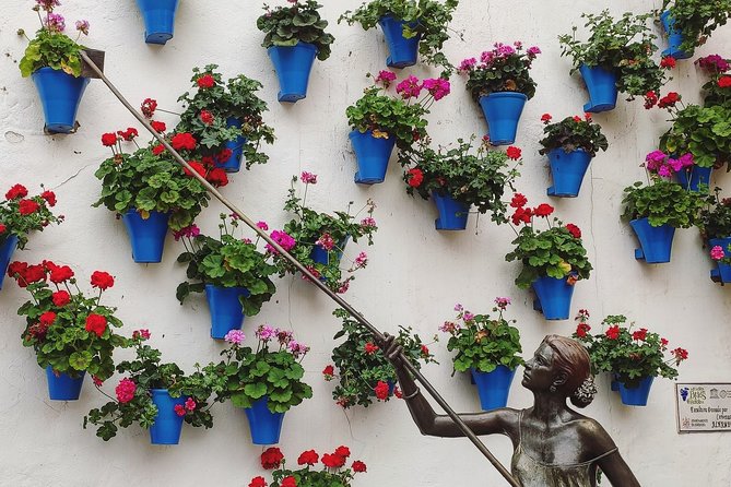 Private Córdoba Highlights Walking Tour - Practical Insights