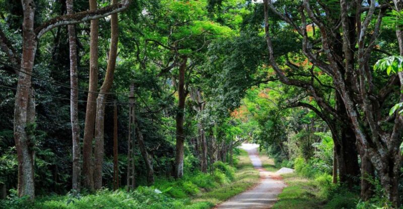 Private Day Tour: Cuc Phuong National Park from Hanoi - The Itinerary: What to Expect on Your Day Trip