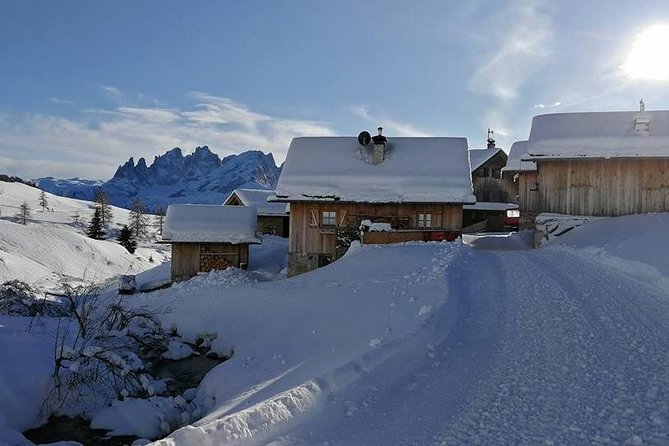 Private Dolomites Day Trip from Venice by Mercedes Class e Lux - The Experience in Practice