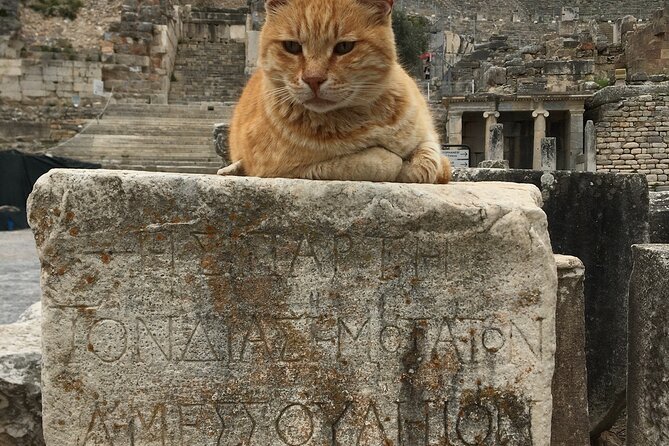 Private Ephesus Tour from zmir Çeme Port and Hotels - Authentic Experiences and Authentic Food