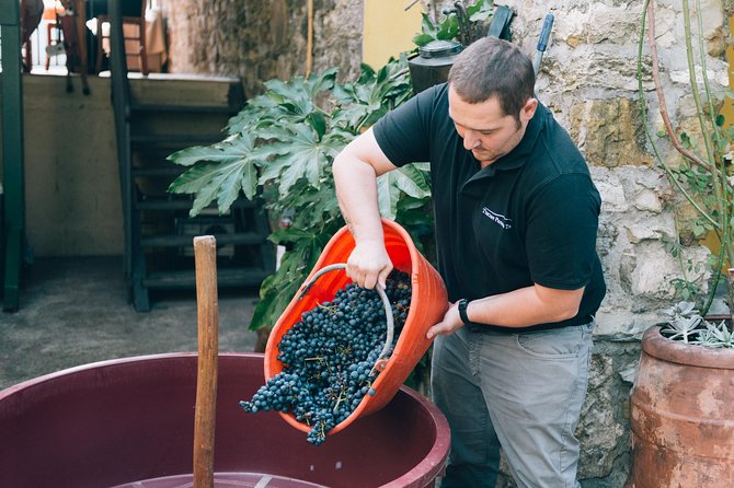 Private Grape stomping at Chianti Farmhouse - Final Thoughts: Is it Worth It?