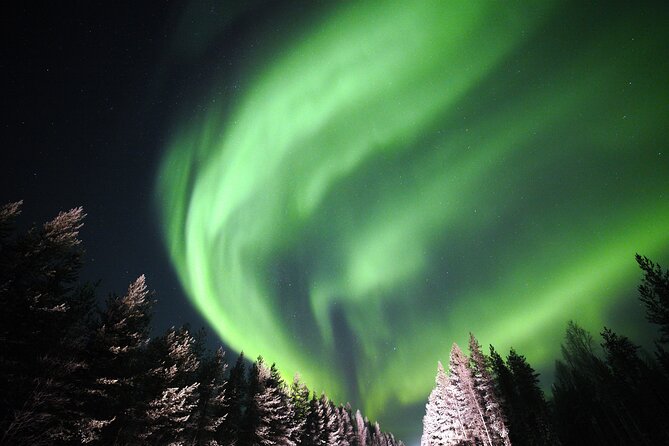 Private Group: Northern Lights Hunt 4x4 SUV with Aurora guarantee - Why This Tour Stands Out