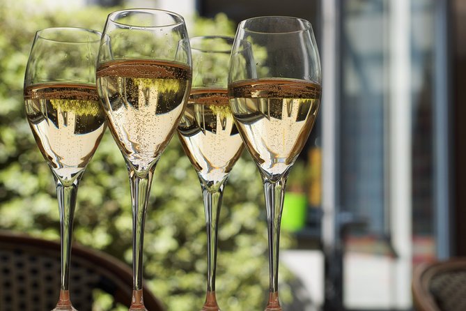 Private Guided Tour in Champagne from Paris with Moet&Chandon visit. - Visiting a Family-Owned Independent Champagne Producer
