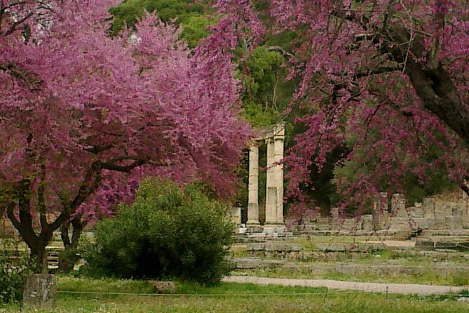 Private Guided Tour of the Archaeological Site and Museum of Olympia - Practical Tips for Visitors